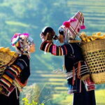 From Hanoi: 3-Day Guided Tour of Sapa with 3-Star Hotel - Practical Aspects and What They Mean for You