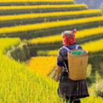 From Hanoi 5-day trip: Sapa-Ninh Binh-Halong bay cruises - What to Expect & Practicalities
