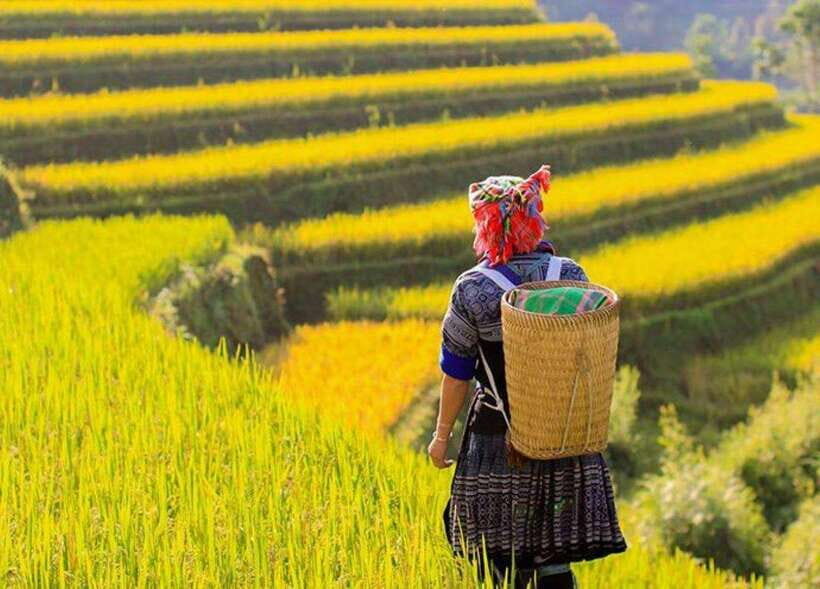 From Hanoi 5-day trip: Sapa-Ninh Binh-Halong bay cruises - What to Expect & Practicalities