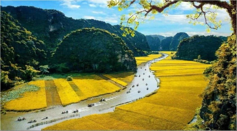 From Hanoi: Bai Dinh,Trang An and Mua Cave Trip - Real-World Tips and Considerations