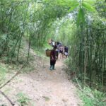 From Hanoi: Discover Sapa 2-Day 1-Night Trekking Adventure - An authentic journey into Vietnam’s northern mountains