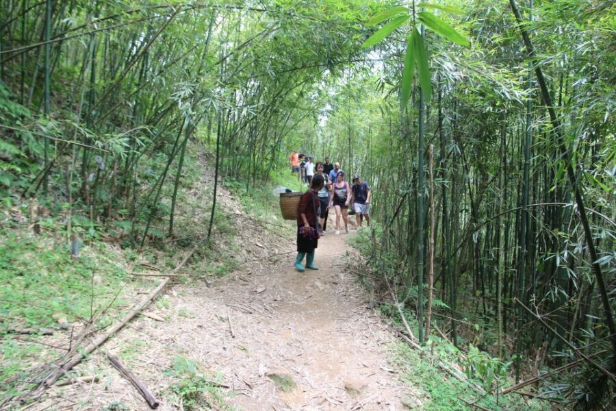 From Hanoi: Discover Sapa 2-Day 1-Night Trekking Adventure - An authentic journey into Vietnam’s northern mountains