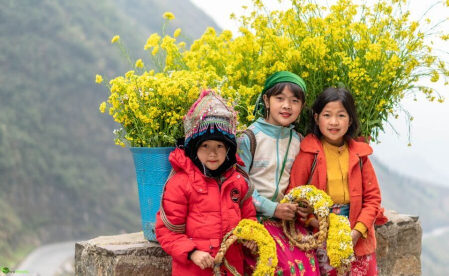 From Hanoi: Ha Giang Guided 3-Day Trip - Day 3: Returning with Hidden Gems and Scenic Stops