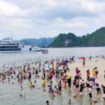From Hanoi: Halong Bay 1 Day Trip Visit Cave, Island, Kayak - The Practicalities: Logistics and Value
