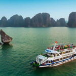 From Hanoi: Halong Bay Day Trip on Luxury Cruise - Analyzing the Value