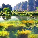 From Hanoi: Hoa Lu & Van Long Nature Reserve Day Tour - Evaluating the Cost and Value