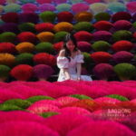From Hanoi: Incense Village & Train Street Small Group Tour - The Practical Side: What to Expect and How to Make the Most of It