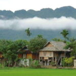 From Hanoi: Mai Chau Valley Day Trip with Cycling - Cycling Through the Rice Fields: A Bucolic Journey