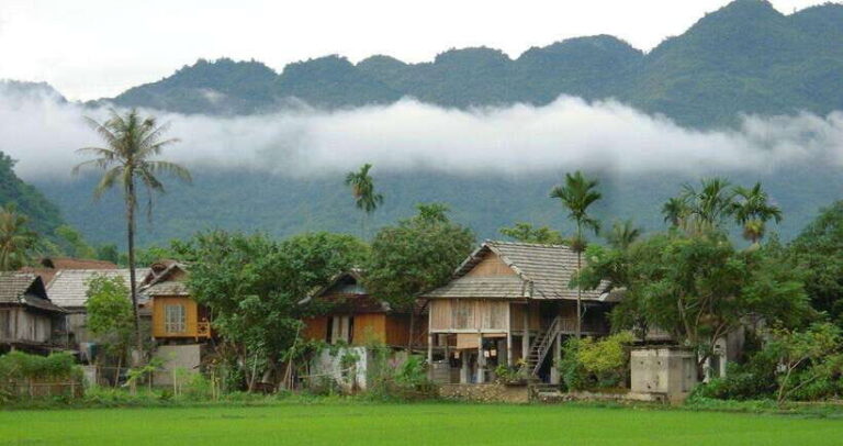 From Hanoi: Mai Chau Valley Day Trip with Cycling - Cycling Through the Rice Fields: A Bucolic Journey