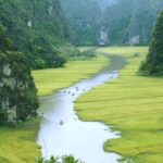From Hanoi: Ninh Binh & Cuc Phuong National Park 2-Day Tour - Day 1: History, Rivers, and Panoramas