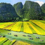 From Hanoi : Ninh Binh Day Trip by Limousine with Lunch - Practical Tips for Booking and Participation