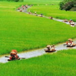 From Hanoi: Perfume Pagoda Day Trip with Boat Ride - What Makes This Tour Stand Out?