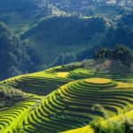 From Hanoi: Premium 3-Day Sapa Adventure with DCAR Limousine - The Practicalities — What’s Included and What’s Not