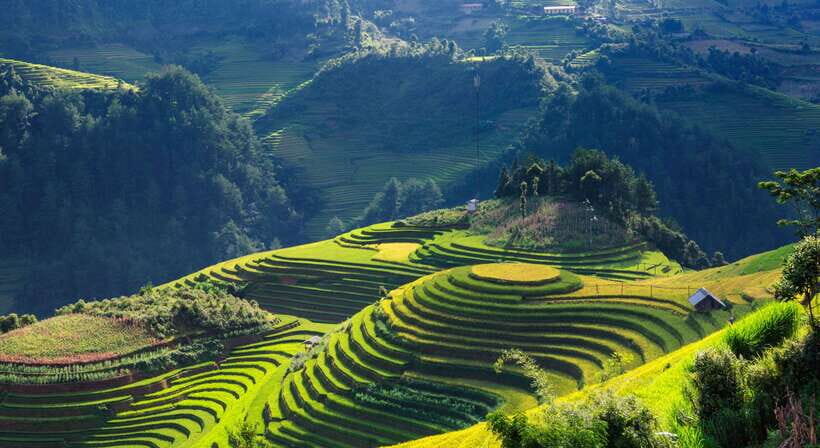 From Hanoi: Premium 3-Day Sapa Adventure with DCAR Limousine - The Practicalities — What’s Included and What’s Not
