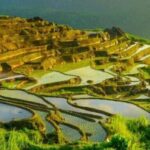 From Hanoi: Pu Luong Nature Reserve Vacation 2D1N - Journey into the Heart of Pu Luong: What You Can Expect