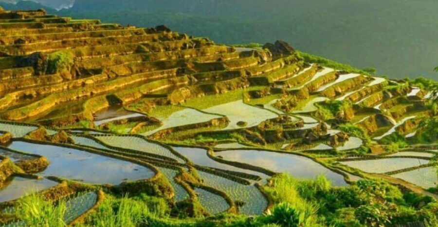 From Hanoi: Pu Luong Nature Reserve Vacation 2D1N - Journey into the Heart of Pu Luong: What You Can Expect