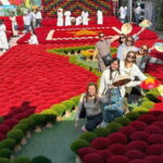 From Hanoi: Quang Phu Cau Incense Village Day Tour - Exploring Duong Lam Village: A Step Back in Time