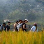 From Hanoi: Sapa 3-Day Trek with Culture and Cozy Bungalow - The Value of the Tour