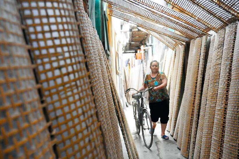From Hanoi: Tho Ha Village Half-Day Photo Tour - The Value and Practical Details