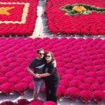 From Hanoi to Incense Village and Ninh Binh Gateway Private Tour - Transport and Logistics: Why They Matter