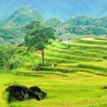 From Hanoi to Pu Luong: 2-Day Trip in Ethnic Villages - What Sets This Tour Apart