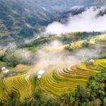 From Hanoi: Visit Sapa 3 Days & See The Terraced Fields - Day 1: Trekking Through Rice Terraces and Ethnic Villages