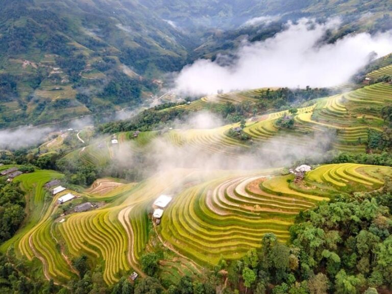 From Hanoi: Visit Sapa 3 Days & See The Terraced Fields - Day 1: Trekking Through Rice Terraces and Ethnic Villages