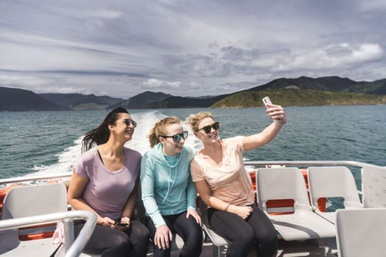 From Havelock: Marlborough Sounds Mail Boat Full-Day Cruise - The Sum Up