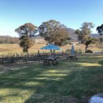From Haymarket: Hunter Valley Wine and Wildlife Day Trip - Why This Tour Offers Great Value