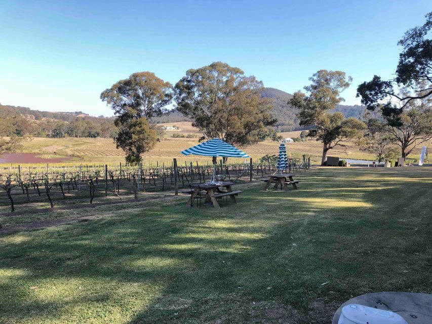 From Haymarket: Hunter Valley Wine and Wildlife Day Trip - Why This Tour Offers Great Value