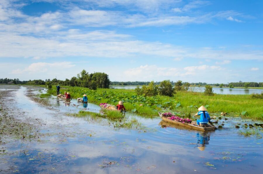 From HCM: Mekong Delta & Cai Rang Floating Market 2-Day Tour - The Sum Up