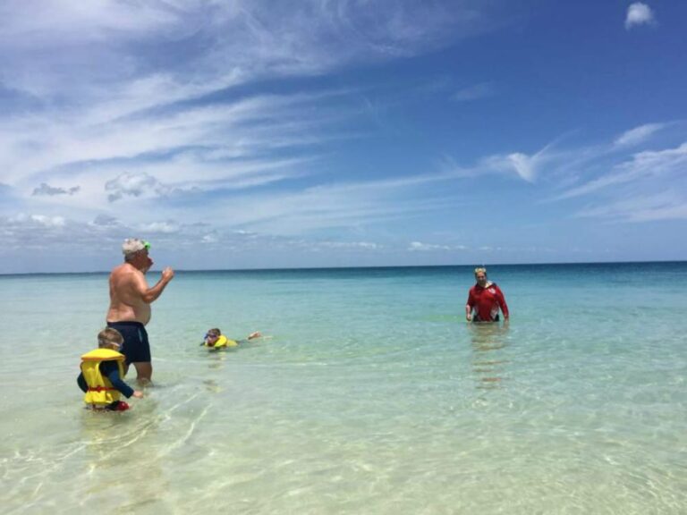 From Hervey Bay: Half-Day K'gari Fraser Island Beach Cruise - What’s Included and What to Keep in Mind