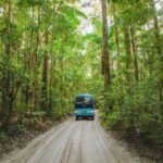 From Hervey Bay: K'gari, Fraser Island Two-Day Coach Tour - An Honest Look at the Itinerary and What to Expect