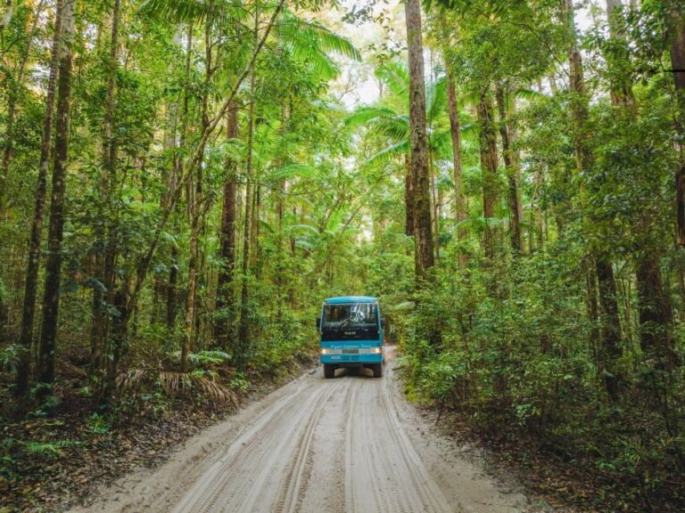 From Hervey Bay: K'gari, Fraser Island Two-Day Coach Tour - An Honest Look at the Itinerary and What to Expect