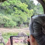 From Hikkaduwa/ Galle/ Mirissa - Yala National Park Safari - What to Expect From the Wildlife Encounters