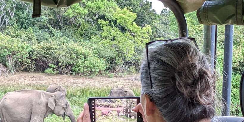 From Hikkaduwa/ Galle/ Mirissa - Yala National Park Safari - What to Expect From the Wildlife Encounters