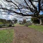 From Hilo: Hawaii Volcanoes National Park Tour - What to Expect and Practical Tips