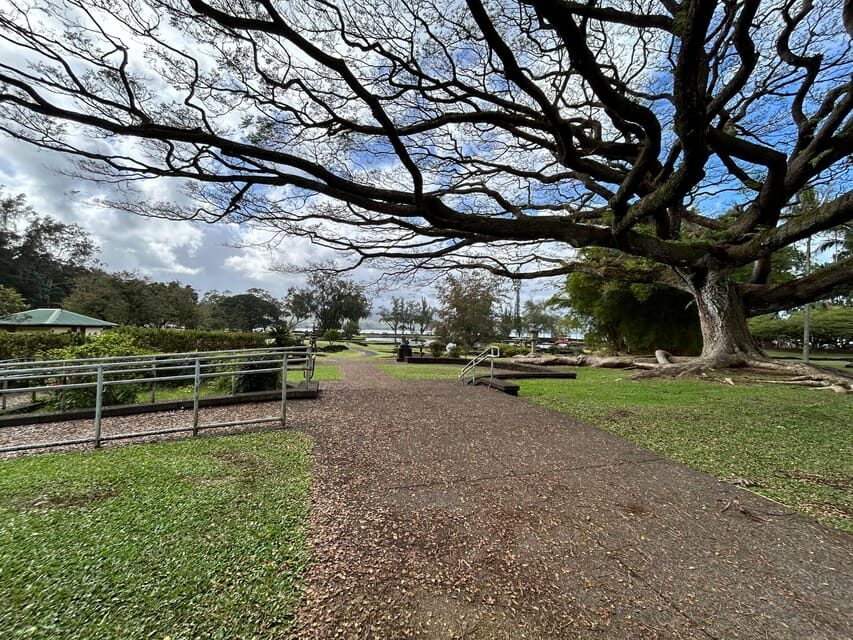 From Hilo: Hawaii Volcanoes National Park Tour - What to Expect and Practical Tips
