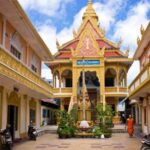 From Ho Chi Minh : Cai Be  Can Tho 2 days / 1 night - Practical Insights for Future Travelers