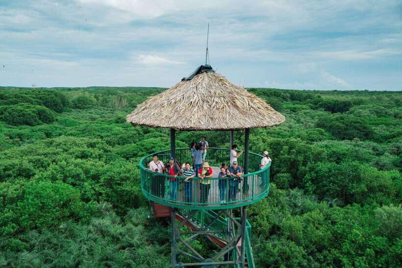 From Ho Chi Minh City: Can Gio Mangrove Forest Day Tour - Practicalities and What You Need to Know