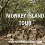 From Ho Chi Minh City: Can Gio Mangrove Guided Forest Tour - Crocodile Farm: Power and Precision
