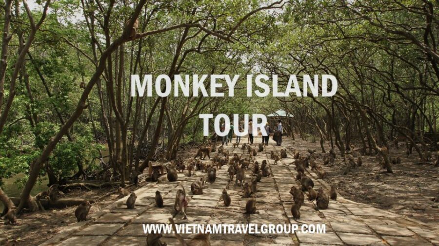 From Ho Chi Minh City: Can Gio Mangrove Guided Forest Tour - Crocodile Farm: Power and Precision