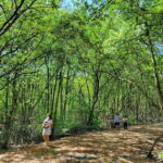 From Ho Chi Minh City: Can Gio Mangrove & Monkey Island Trek - Wildlife at Monkey Island