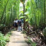 From Ho Chi Minh City: Mekong Delta Small-Group Tour - The Real Value of This Tour