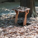 From Ho Chi Minh: Cu Chi Tunnels and Mekong Delta 3-Day Tour - What Makes This Tour Stand Out?