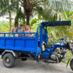 From Ho Chi Minh: Mekong Delta with Ben Tre 1 Day Tour - Final Thoughts: Who Is This Tour Best For?