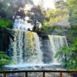 From Hobart: 9-Day Tasmania Circle Tour - Authentic Experiences and What Sets This Tour Apart