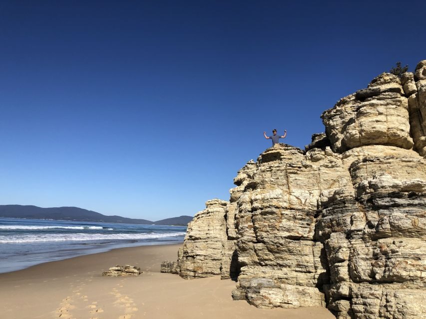 From Hobart: Bruny Island Nature & Produce Adventure Tour - Final Thoughts: Is It Worth It?