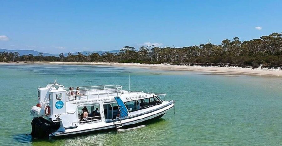 From Hobart: Day Tour to Maria Island with Bus Connection - An In-Depth Look at the Tour
