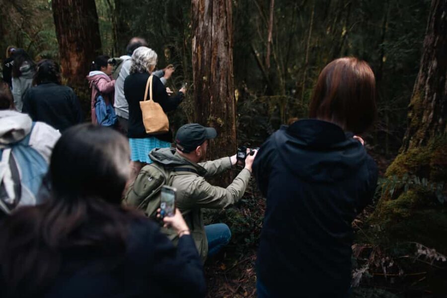 From Hobart: Full-Day Bruny Island Tour with Guide - Who Should Take This Tour?